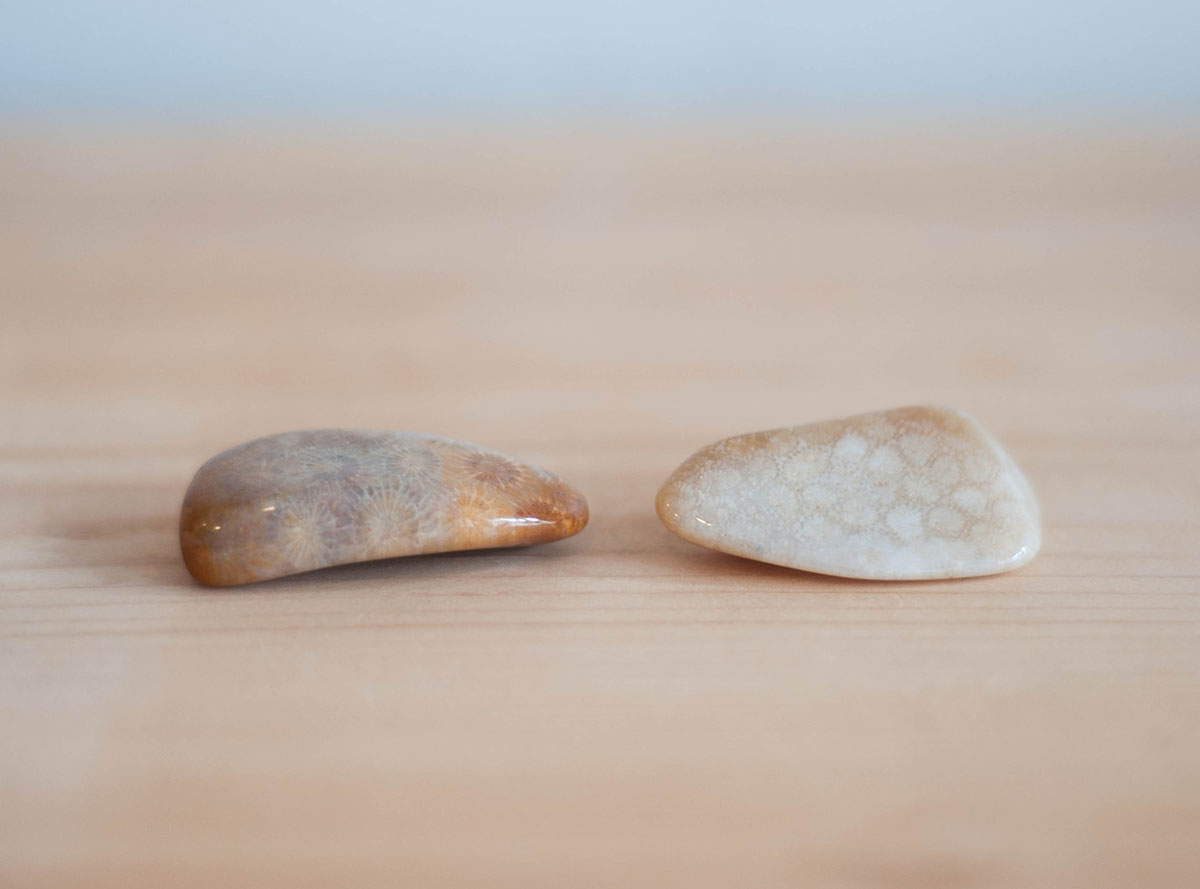 Tumbled Agatized Corral | Tumbled Small Crystals | Village Rock Shop